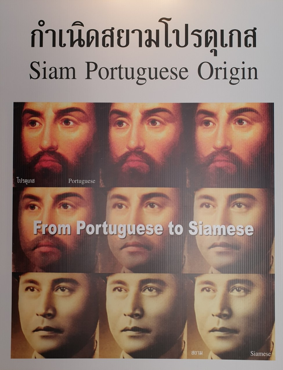 Exotic Faces: Asian Examples of Ethnic and Ideological Homogenization ...